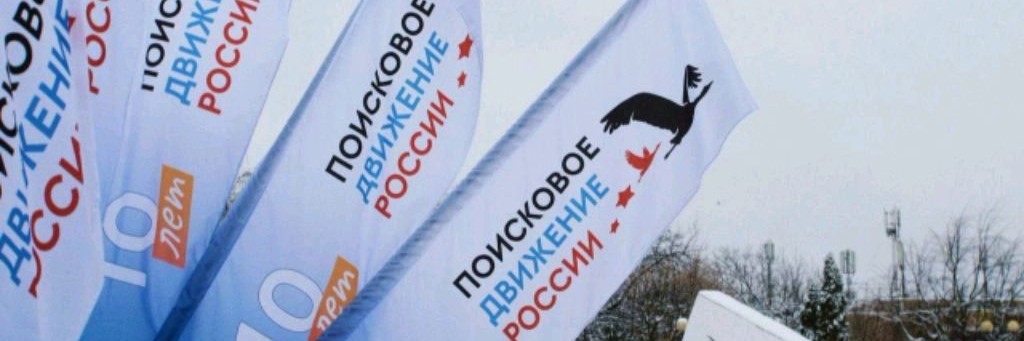 Поисковое движение России в Московской области