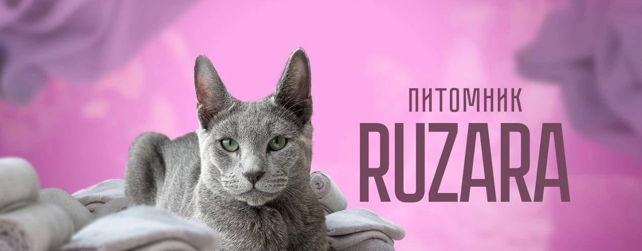 ruzaracattery