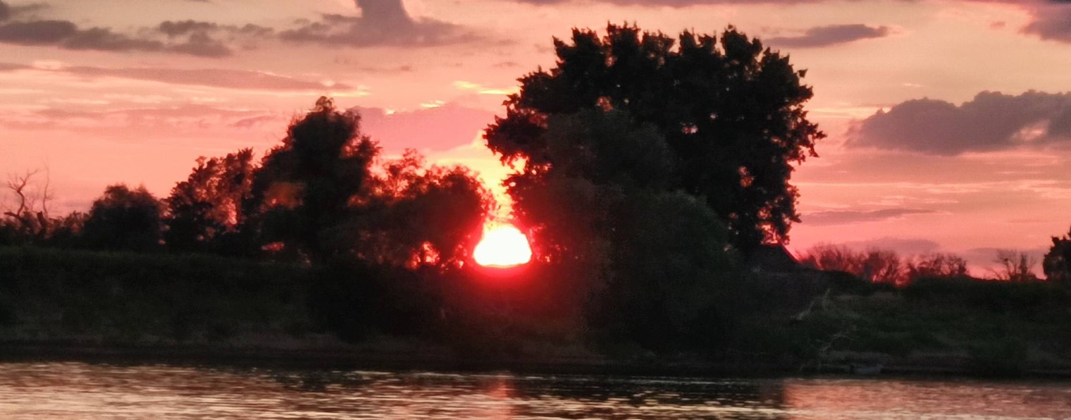 Любим жизнь