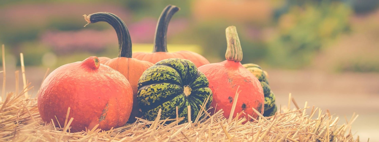 Огородная наука