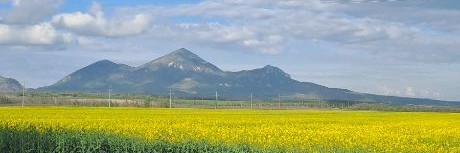 Елена Ессентуки Посутка