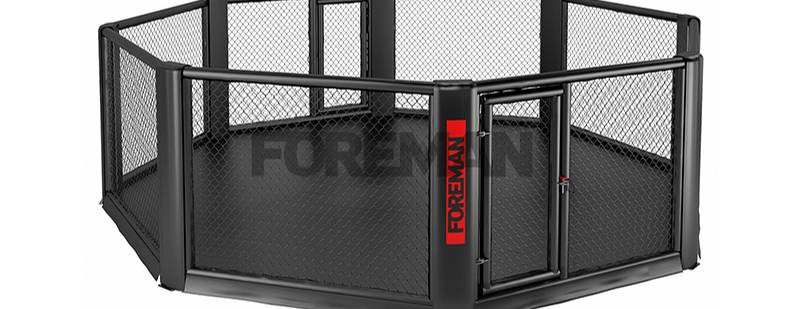 Планета единоборств ММА