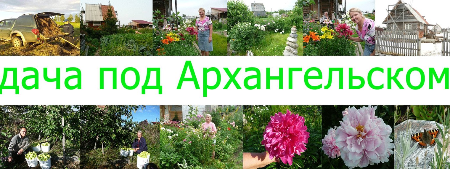 дача под Архангельском