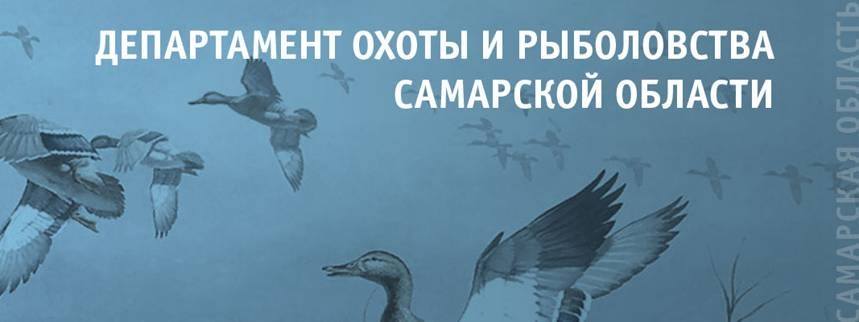Комитет охоты и рыболовства Самарской области
