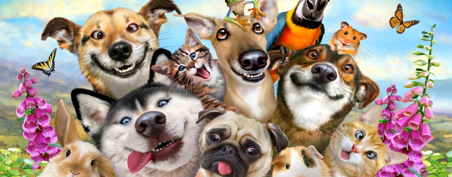 Извините, у меня лапки?