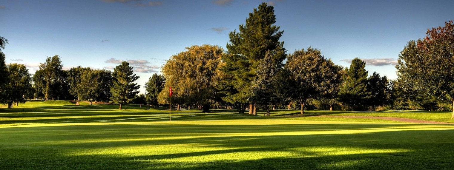 BERGALEON Леонбергер и Алабай