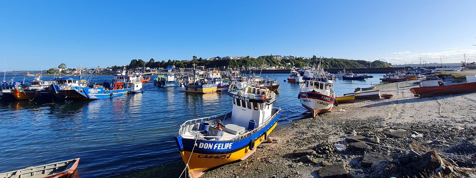 Принцесса мапуче