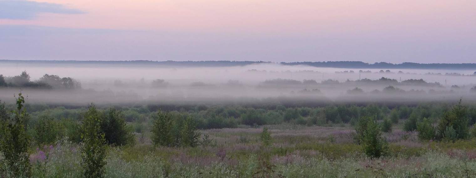 Мир вокруг нас