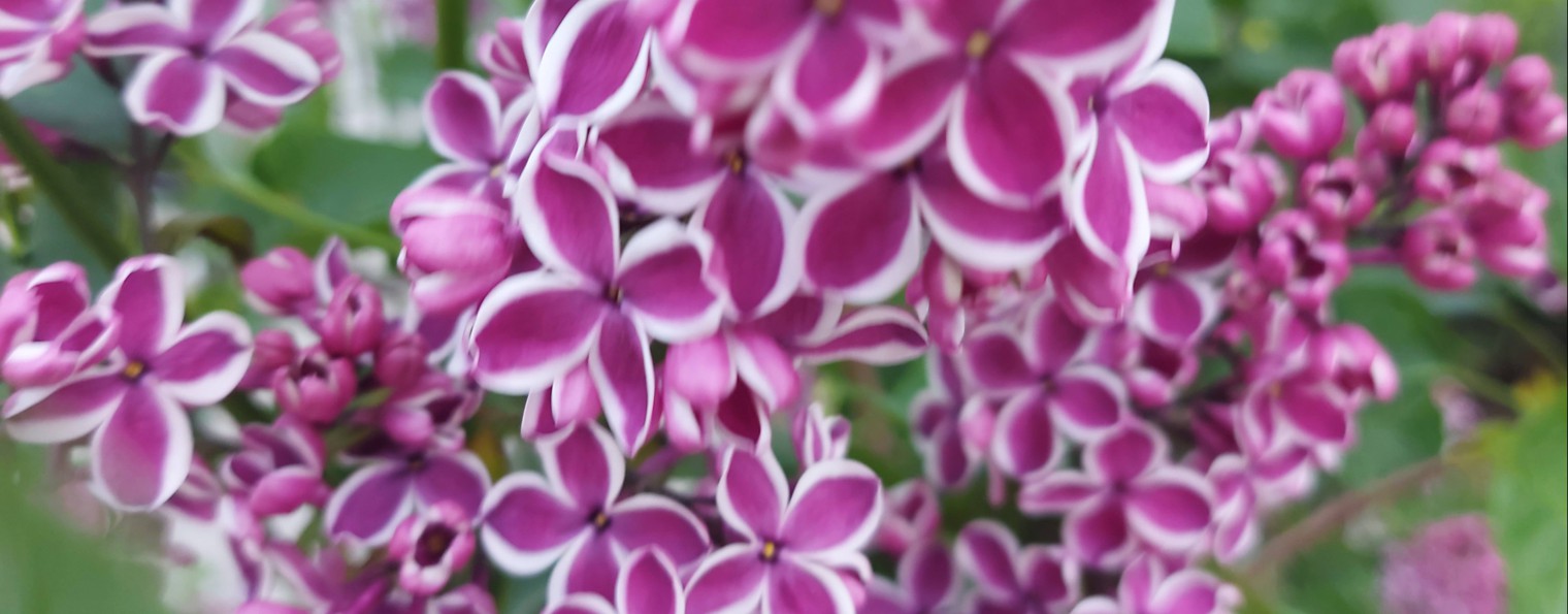 Обо всём по чуть-чуть)))