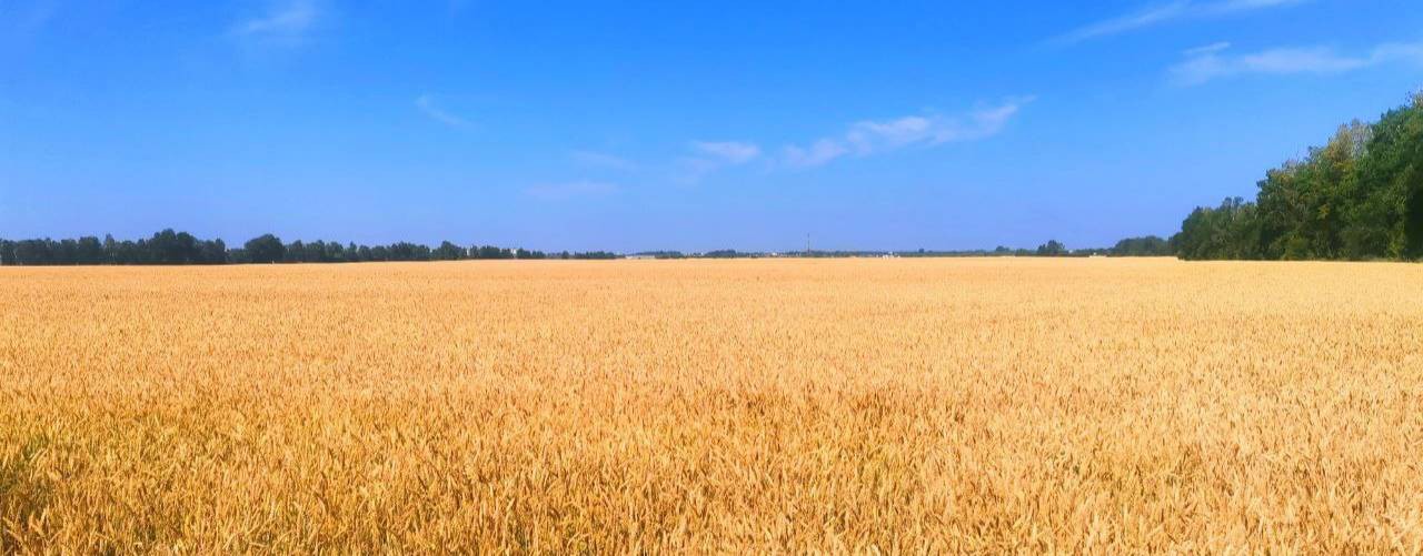 Светлый путь. Рассказы