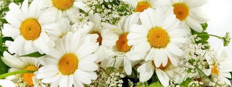 Ольга Ахметова