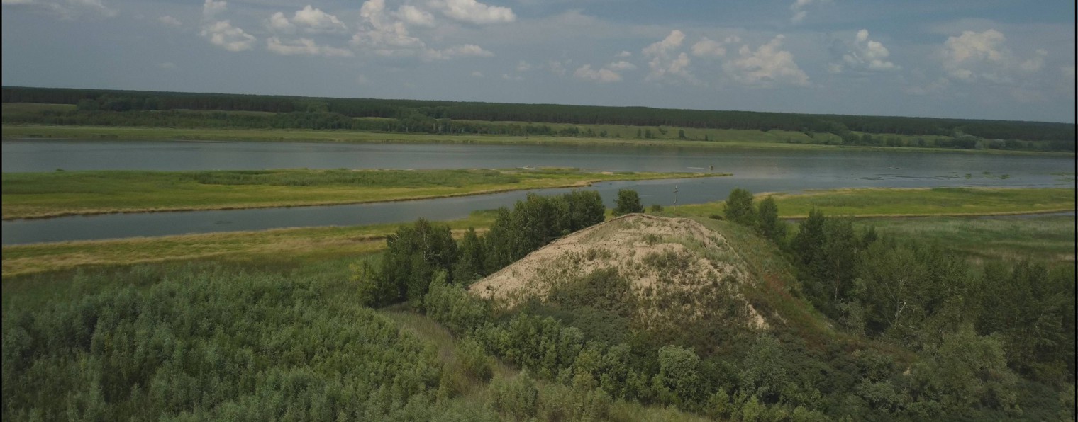 Головченко Николай