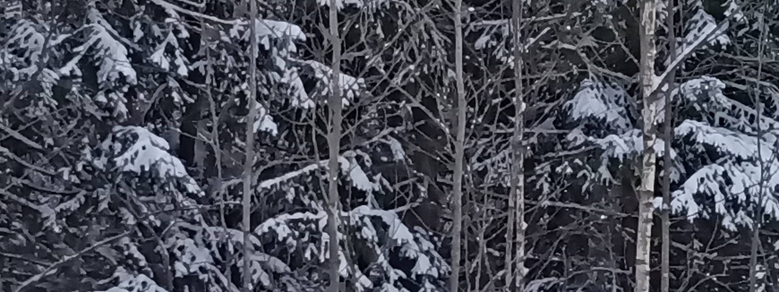 Клименко Е.А.