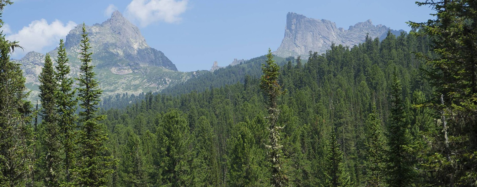 ТАЙГА - Бани и чаны под ключ