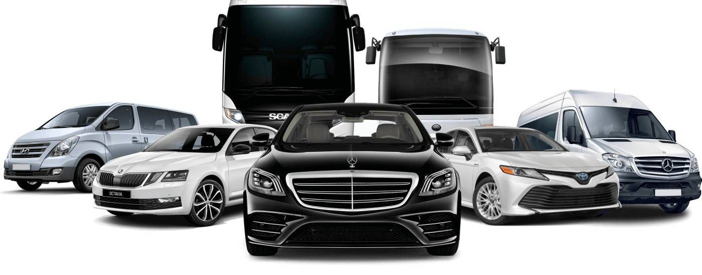 Транспортная компания-CarTrip