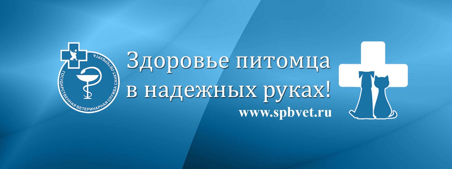 Городская Ветеринарная Клиника Санкт-Перербурга