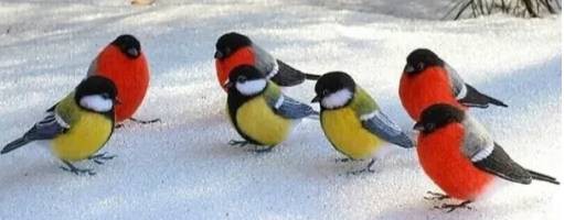 Путешествия в отпуске