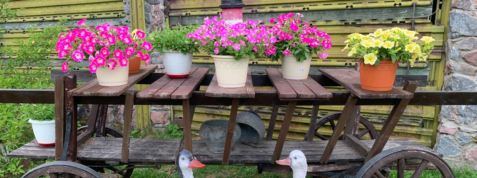 1-я Академия недвижимости