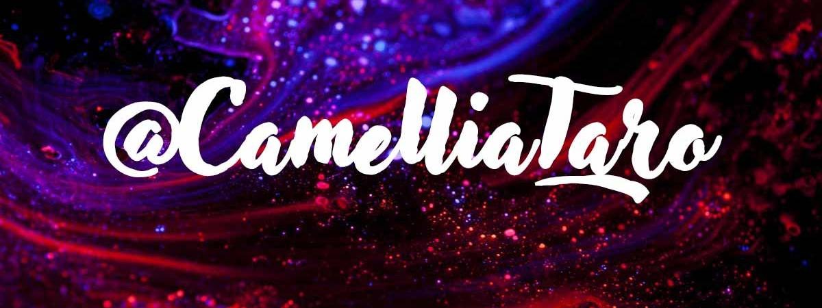 Camellia Taro