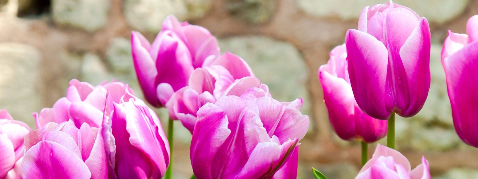 Ирина Чикалина