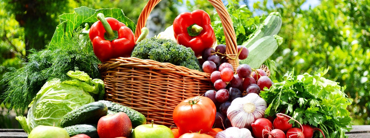 Сибирский садовод