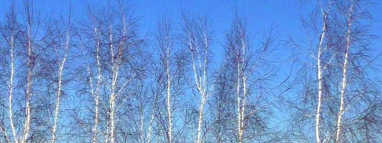 Татьяна Крестьянскова