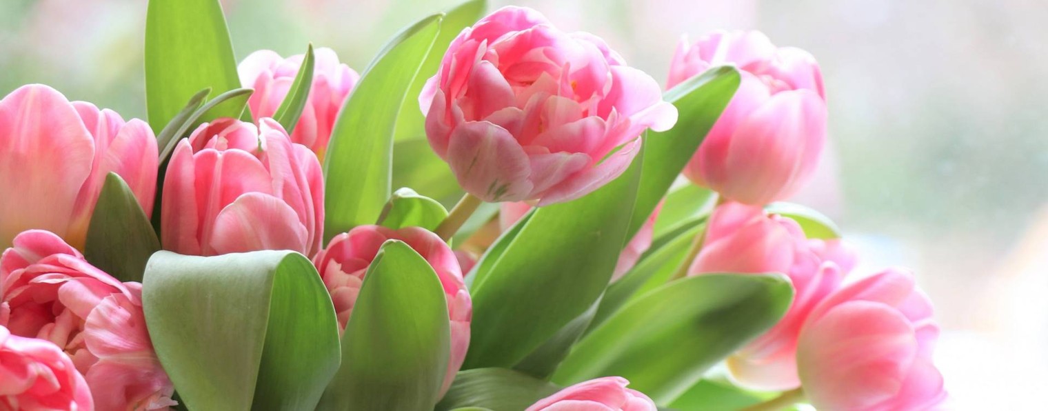 В гостях у Ниночки