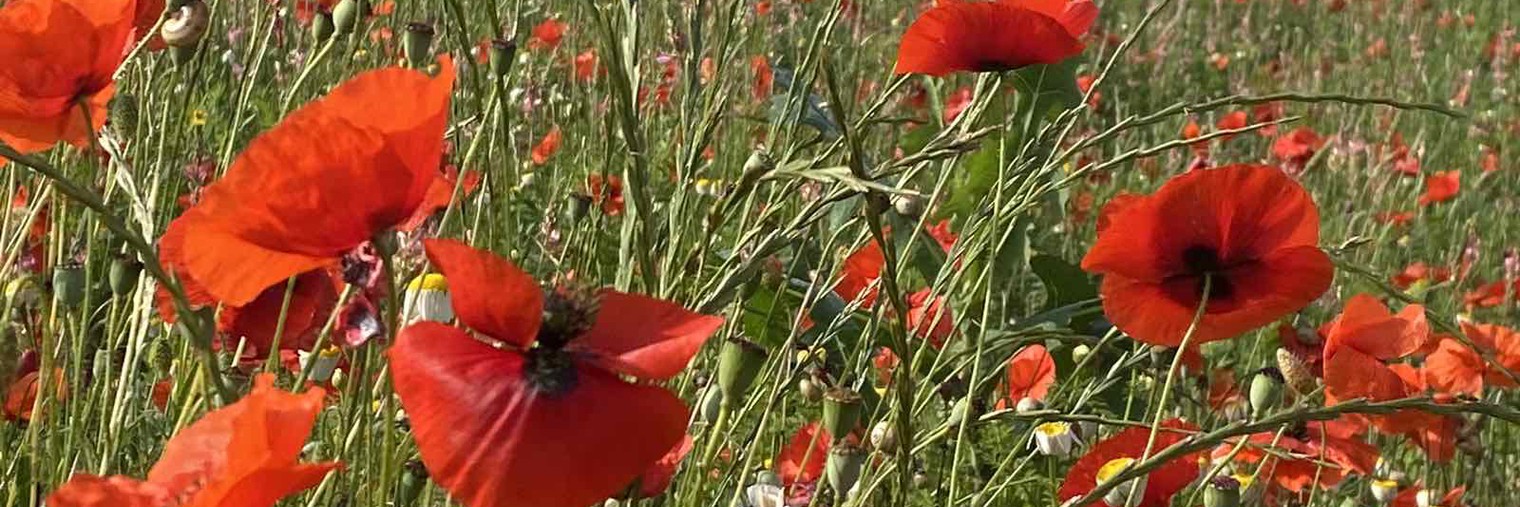 ??Д?ЫЙ АГ????