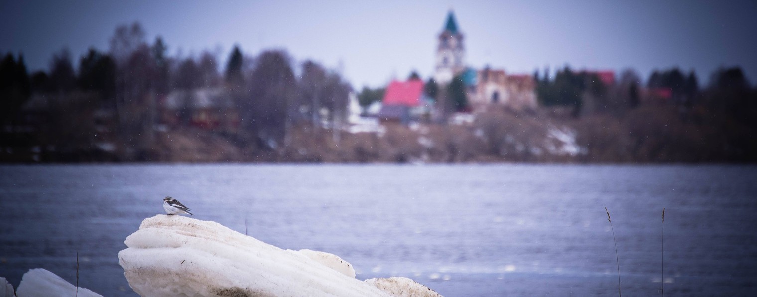 Антон Дьяконов