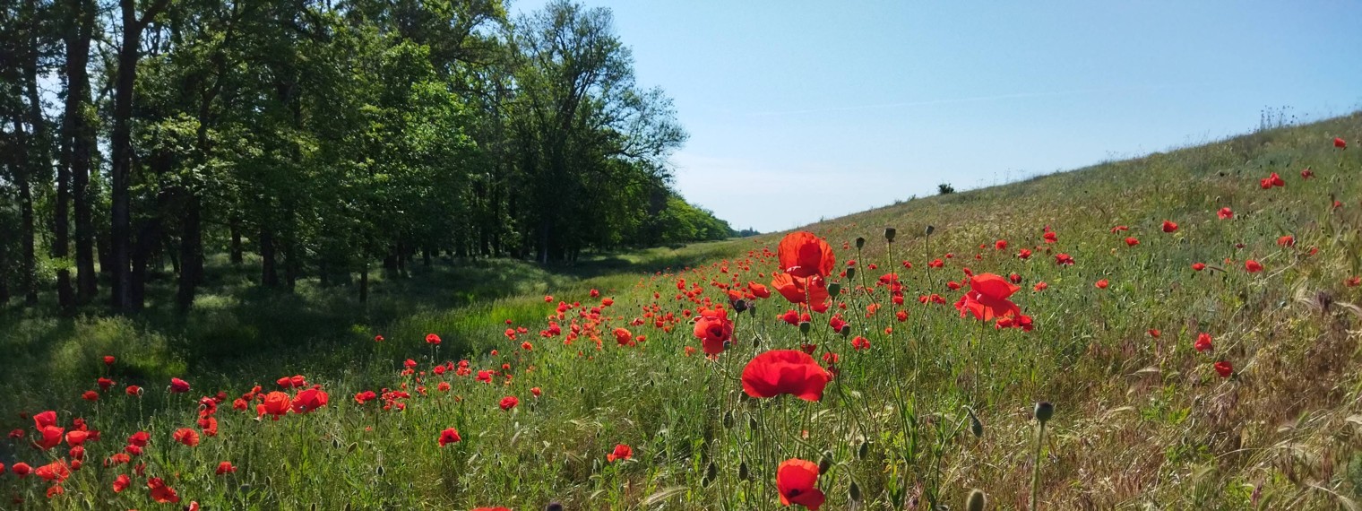 Андрей Поклад