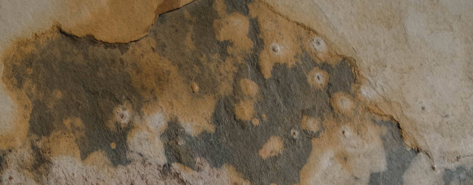 АСТРОЛОГ Гульнара Подобед