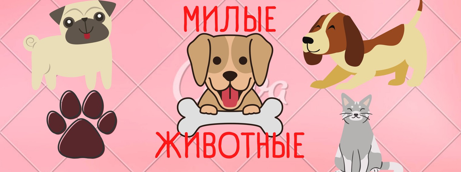 Милые животные