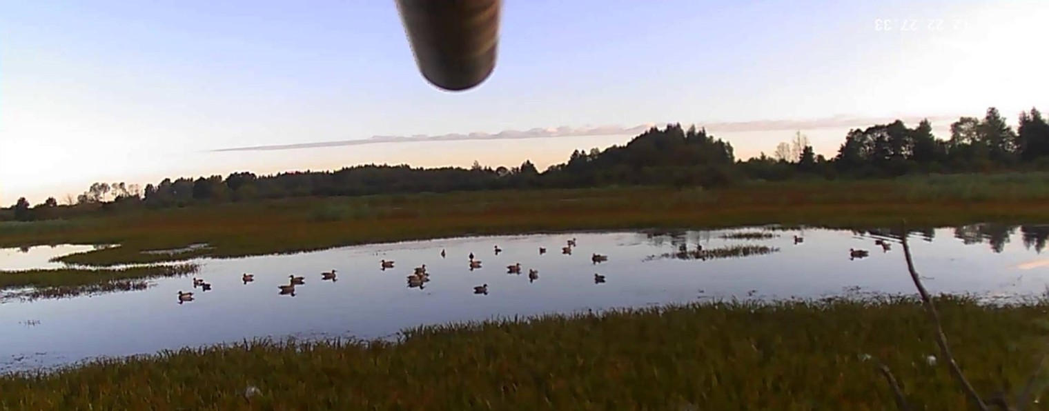 ТОР охотник