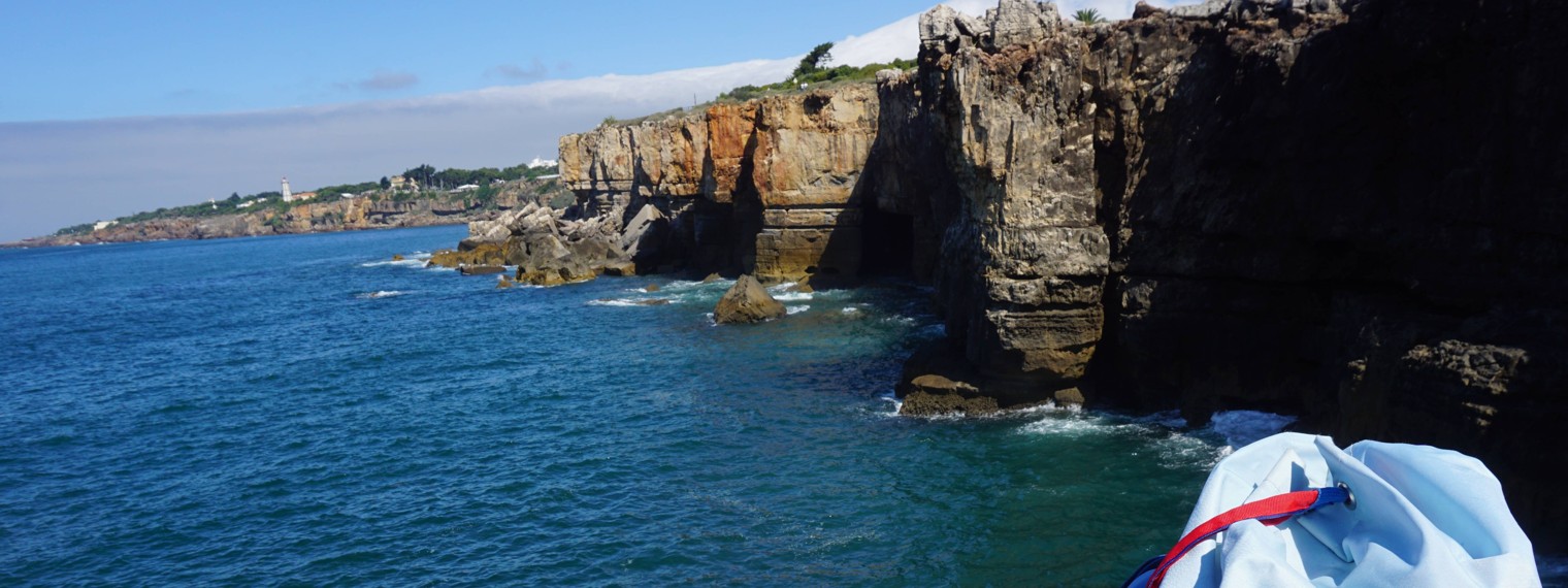 Мороз Чернобровый