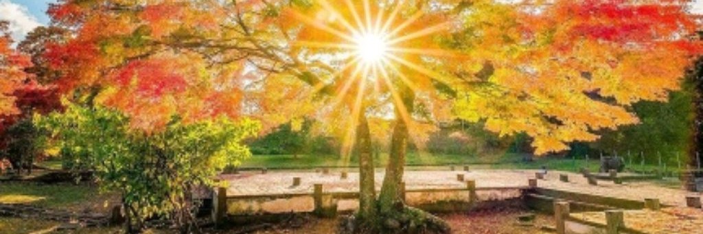 Учимся рисовать!!!