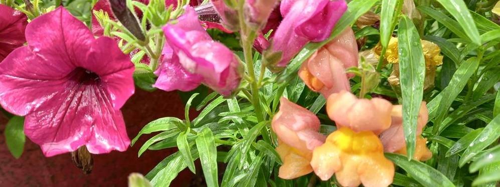 А у нас в Мамоне.