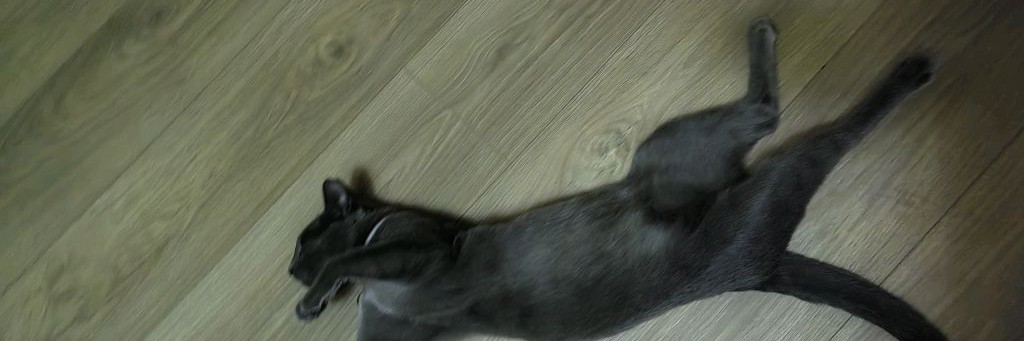 Алиночка и бьюсер💖