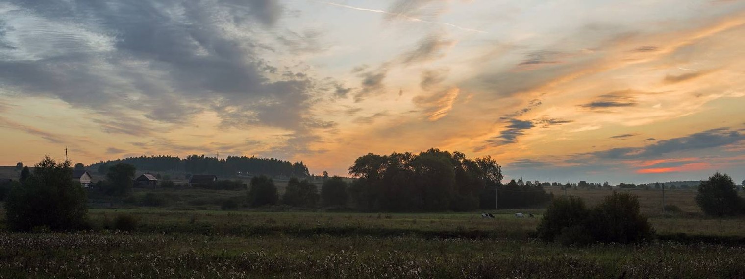 Александр Разработчик