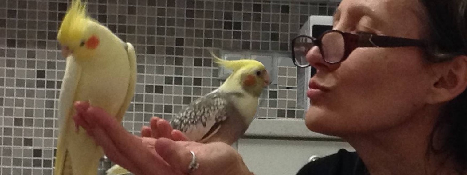 Марта М Кореллы