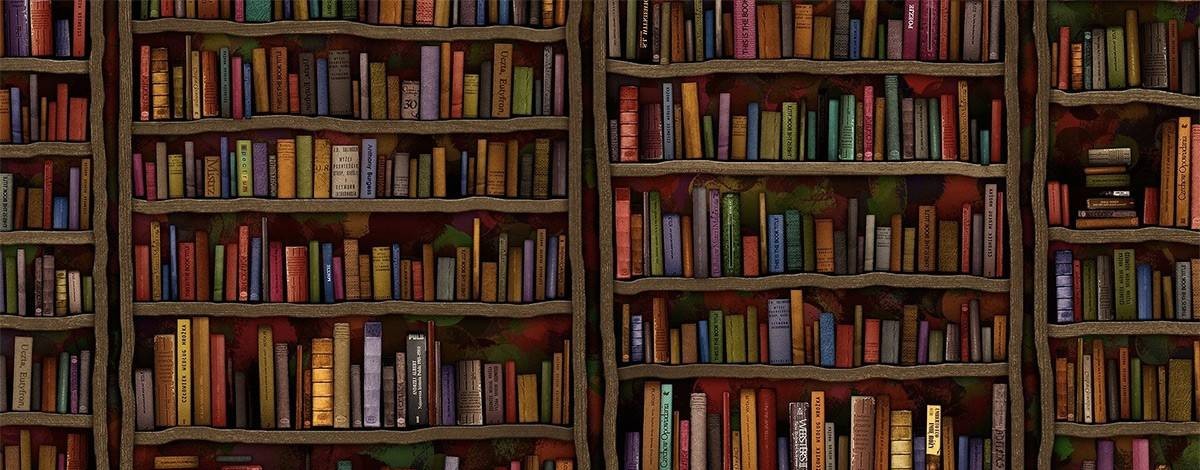 ЛитЦитадель: Записки книжных героев