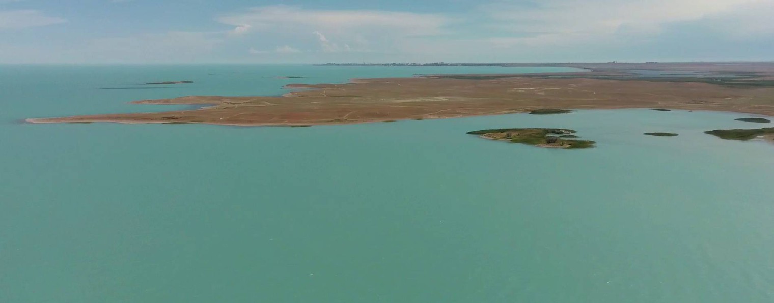 Сары-Шаган рулит