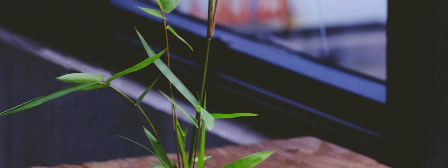 Музыка ветрОВ