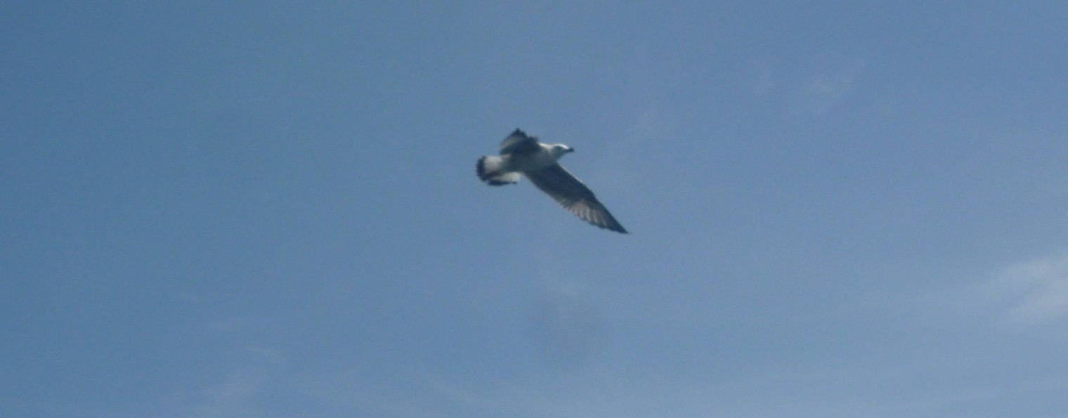 Павел и Лариса 37