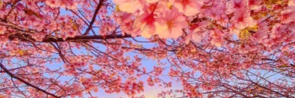 Влад Красноярский