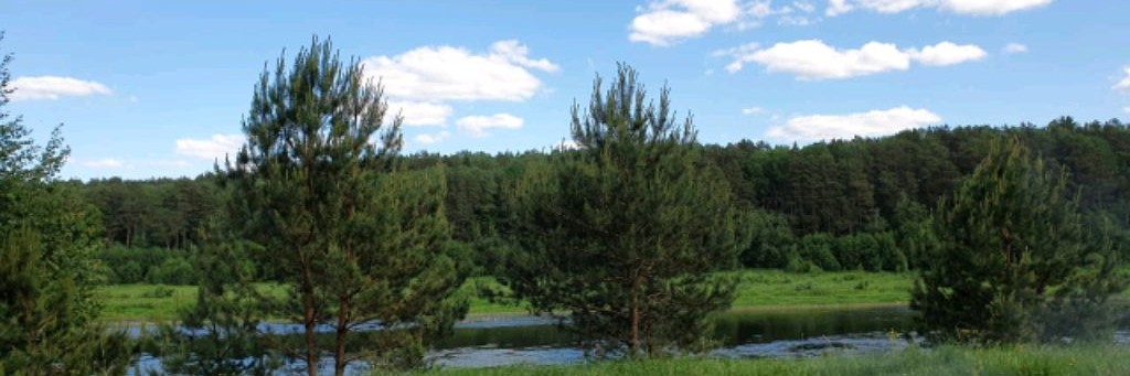 охота и приключения.