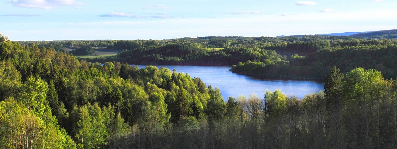 Федеральное агентство лесного хозяйства