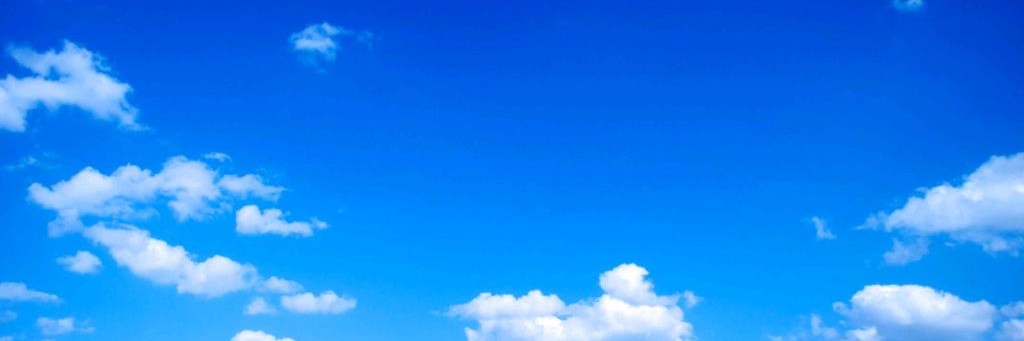 Максим Колесников