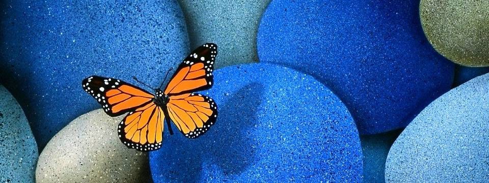 Светлана Серебрякова