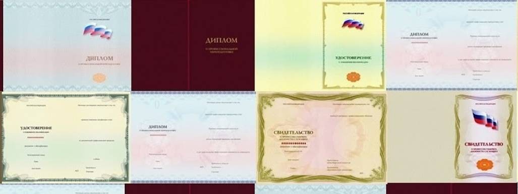 Академия профессионального образования