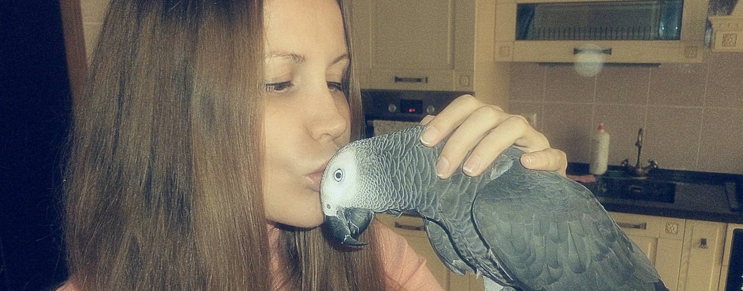 Жако Петруня